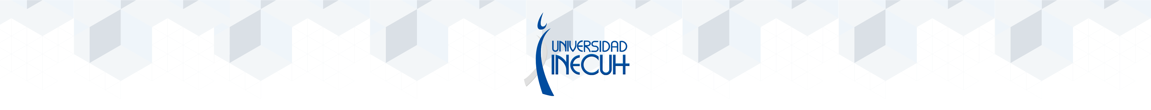 Universidad Inecuh